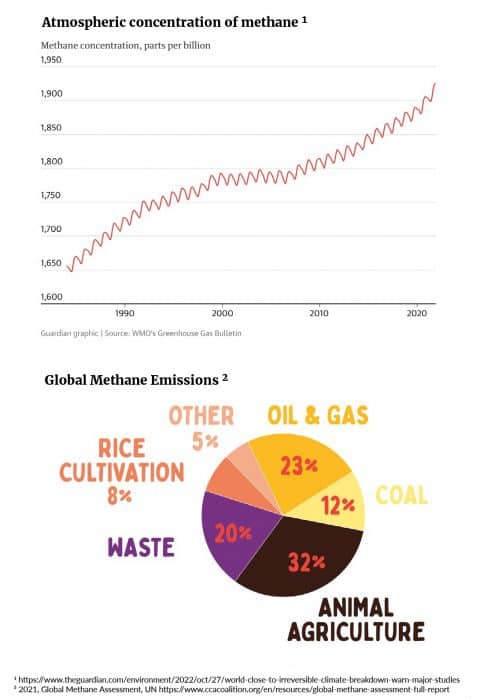 IMF Recommends Methane Tax on Animal Agriculture - Plant Based Treaty