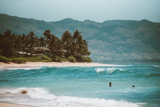 Hawaii Email Action - Plant Based Treaty