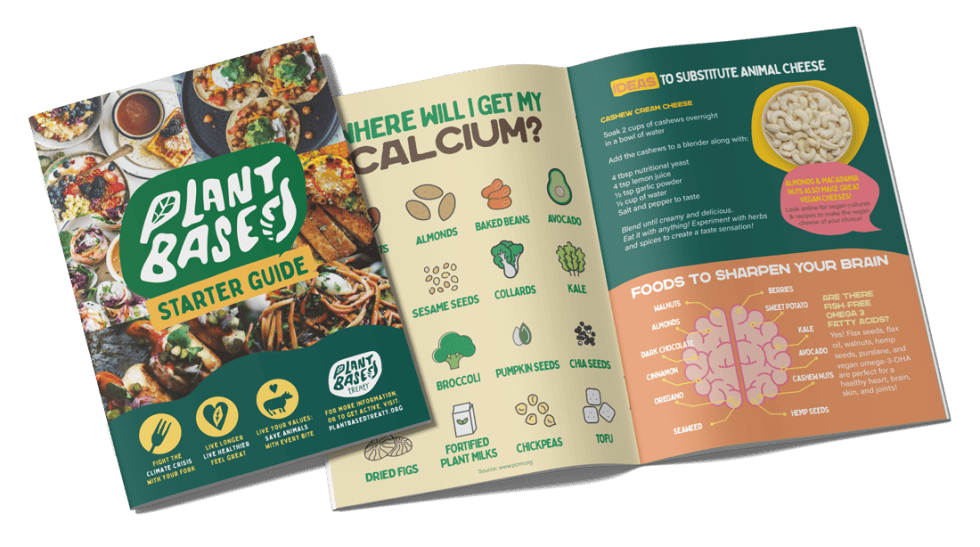 Vegan Resources - Plant Based Treaty